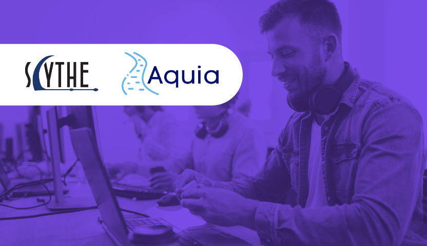 The Capability Maturity Model (CMM) - PlexTrac